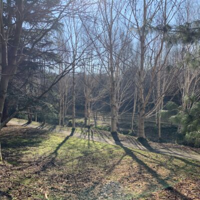 Durham Weather Station - Photographs, Records and Articles about the ...