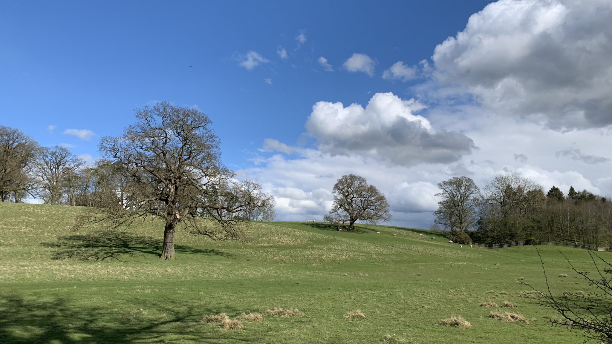 Durham Weather - The Weather at Durham, North East England